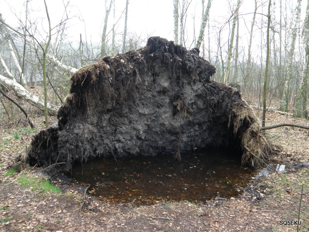 SQ5EKU: Otwock - Torfy