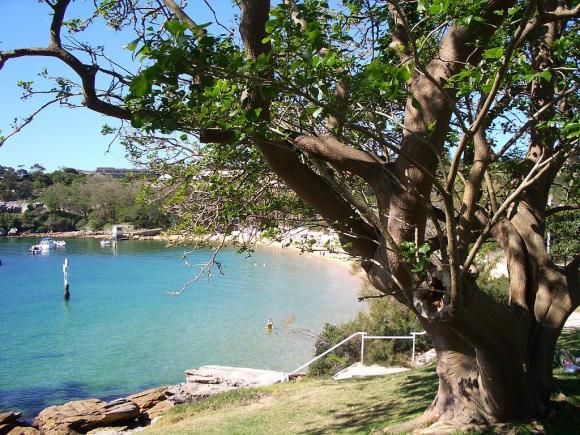 Camp Cove Beach Destination Most Popular Sydney Tourism ~ Asia Tour and ...