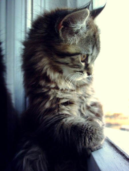 Pinterest Photos | Pinterest Photos