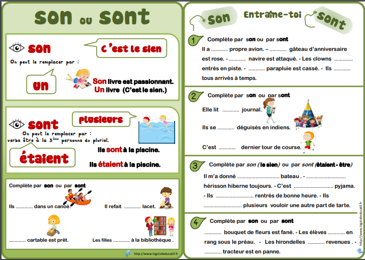 les homophones : son / sont ( vidéos et photos )