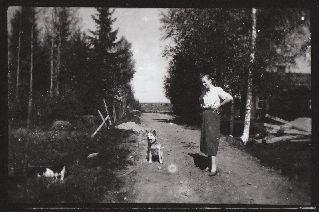 Passer Domesticus Old Negatives 02 passer-domesticus-old-negatives-02