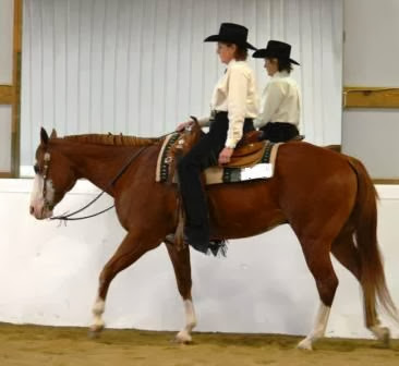 The Mane Point: What's wrong with this horse show photo?