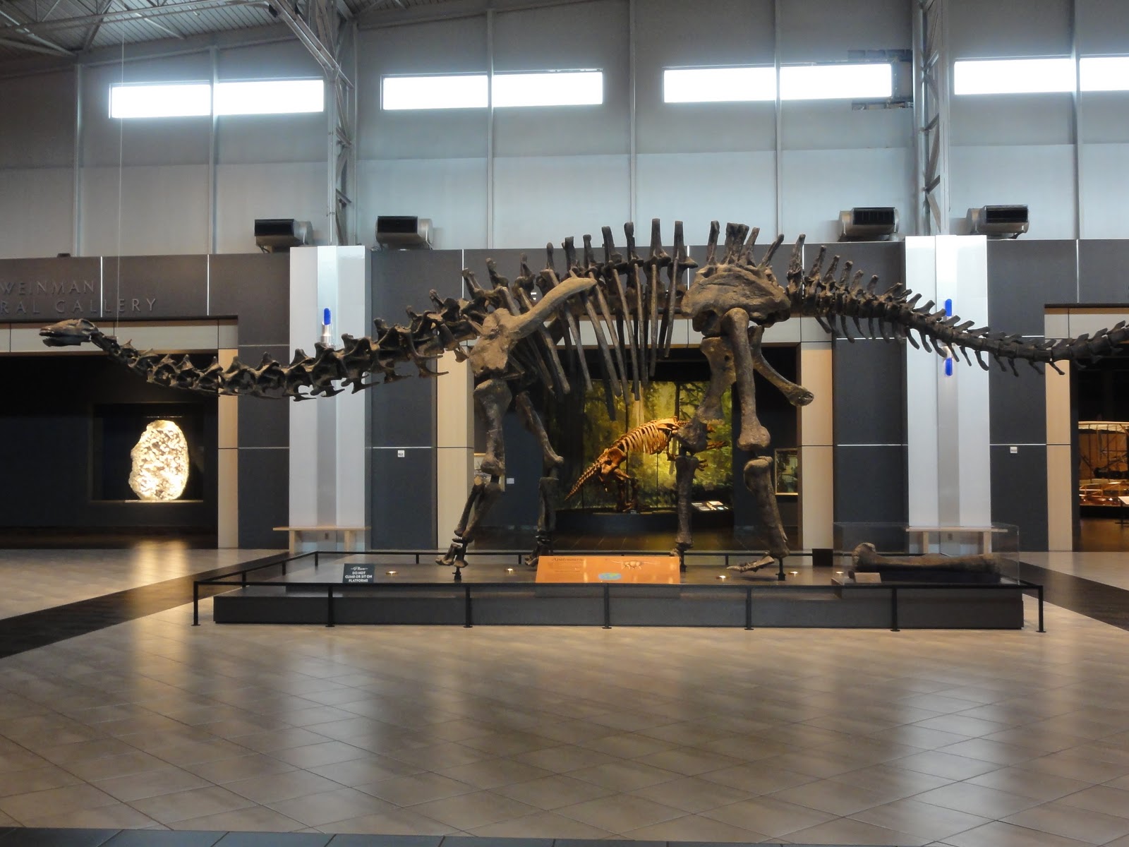 Daniel's Safari: Tellus: NW Georgia Science Museum - Cartersville, GA