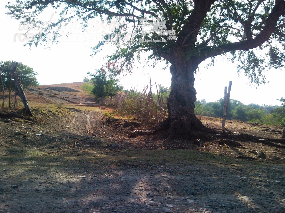 Rough Road to Tambobong Beach | Photos - Travex Travels - Travel ...
