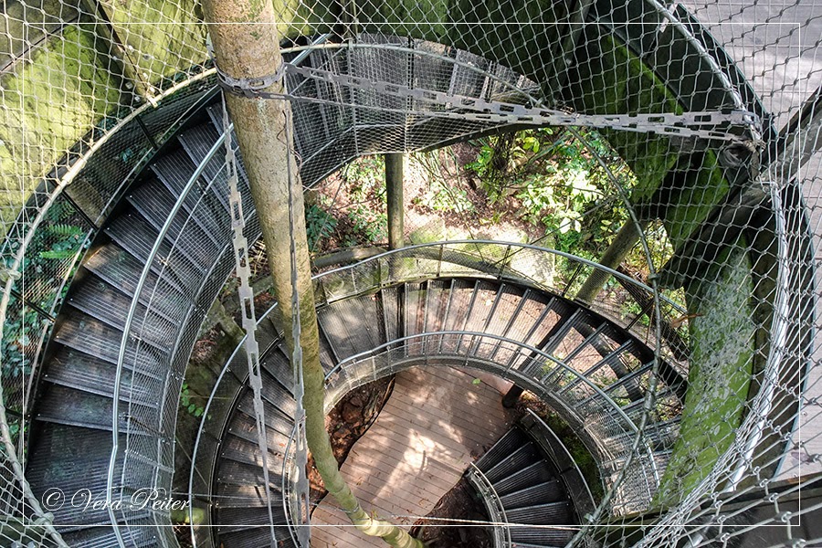 Artifactum ver@bilis Blog: Aussichtsturm # 7 Masoala-Halle