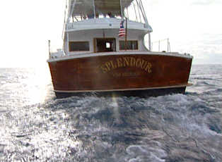 Marti Rulli, Author: Goodbye Natalie Goodbye Splendour (Natalie Wood ...