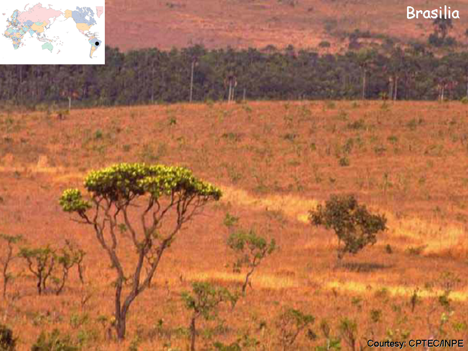 Tropical Savanna Brazil