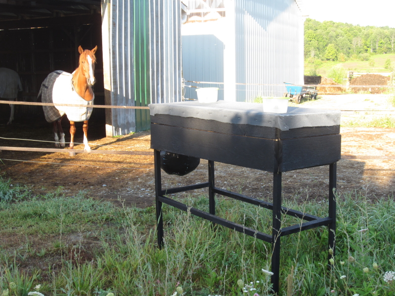 The Twin Tiers Horse: Trapping the Biting Fiends