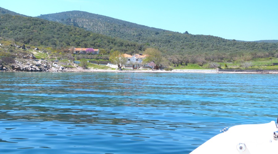 Αφιέρωμα παραλίες Λέσβου «Παραλία Πεδη και Παραλία Πεταλίδι ...