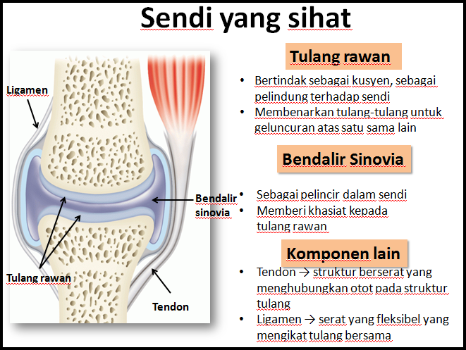 SHAKE-LICIOUS! LOVE IT!!: CARA MENGATASI MASALAH SENDI
