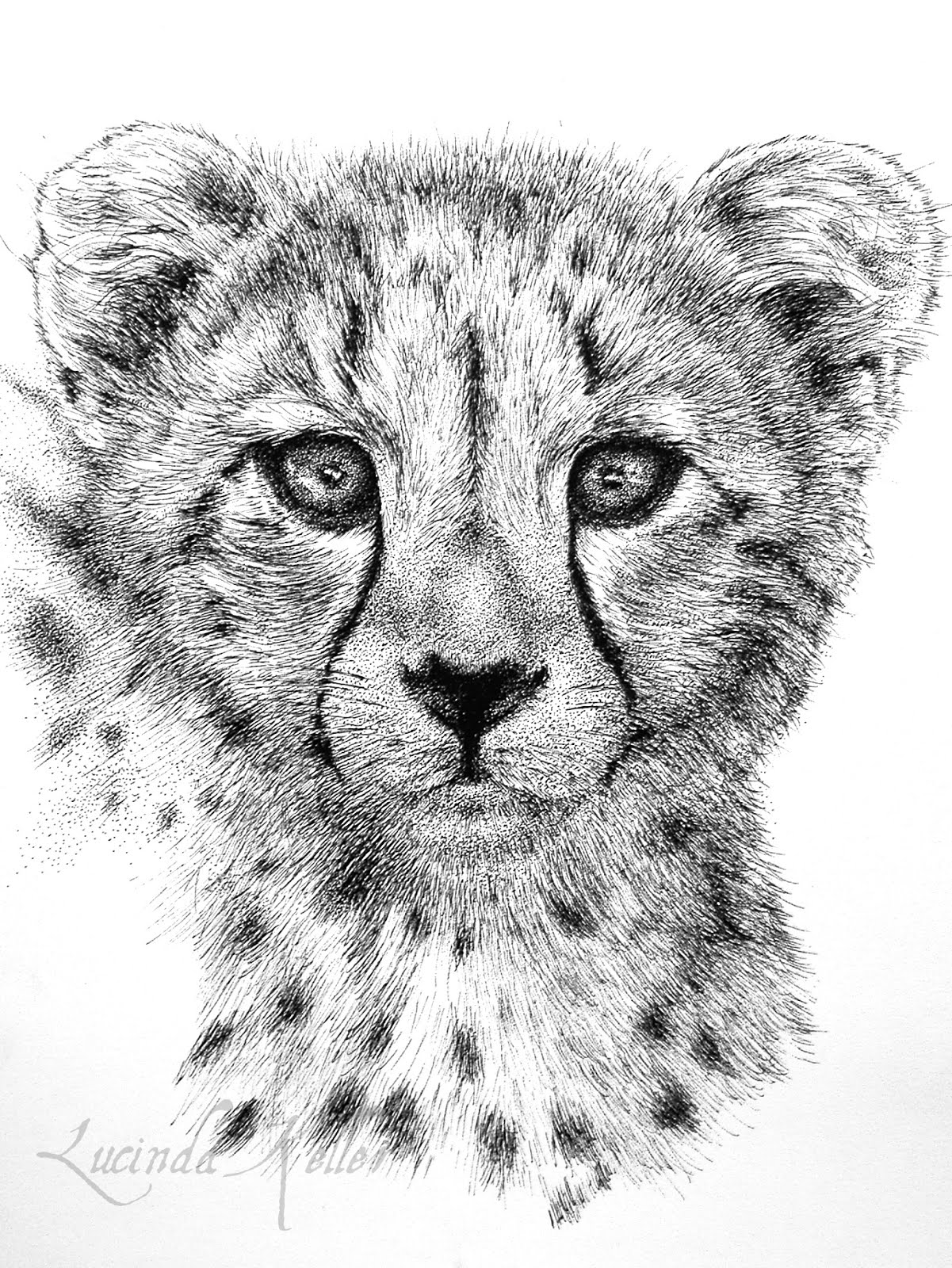 Cobalt Violet: International Cheetah Day ~ Painting and Drawing My ...