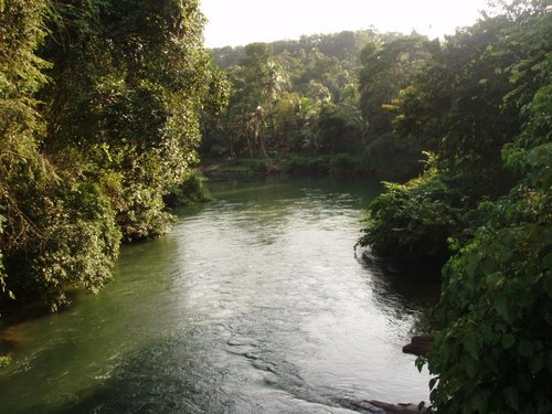 keralariver: Ramapuram river