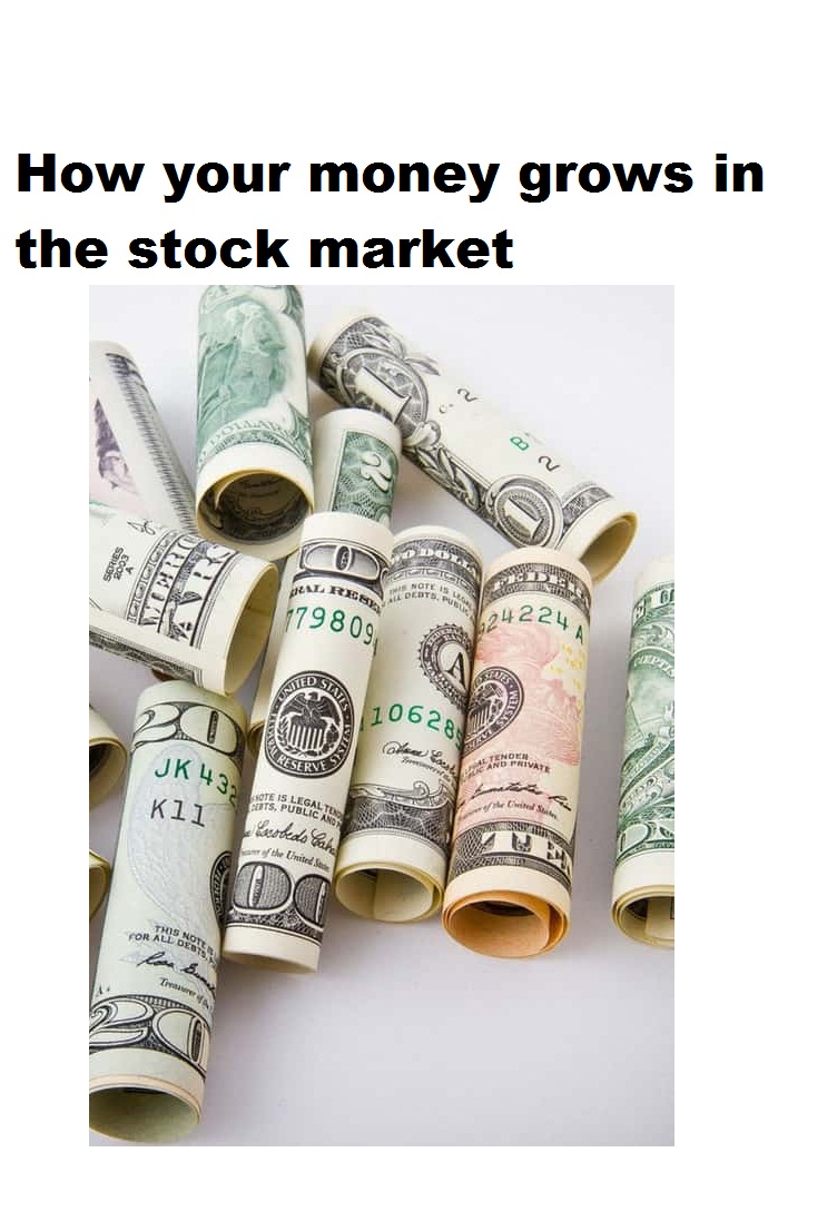 How your money grows in the stock market