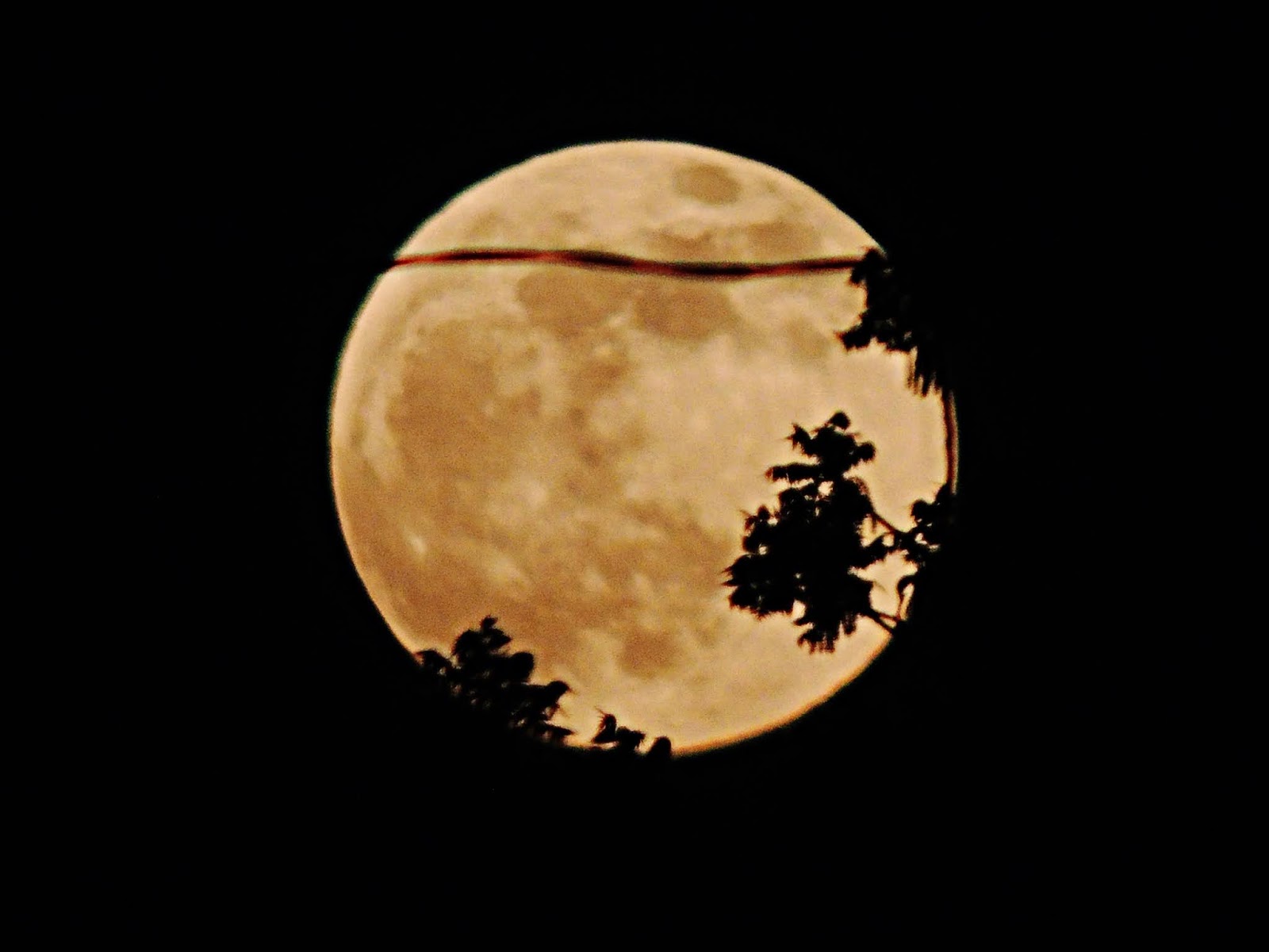 Let Your Light Shine: Through The Wires Thursday - Mooning