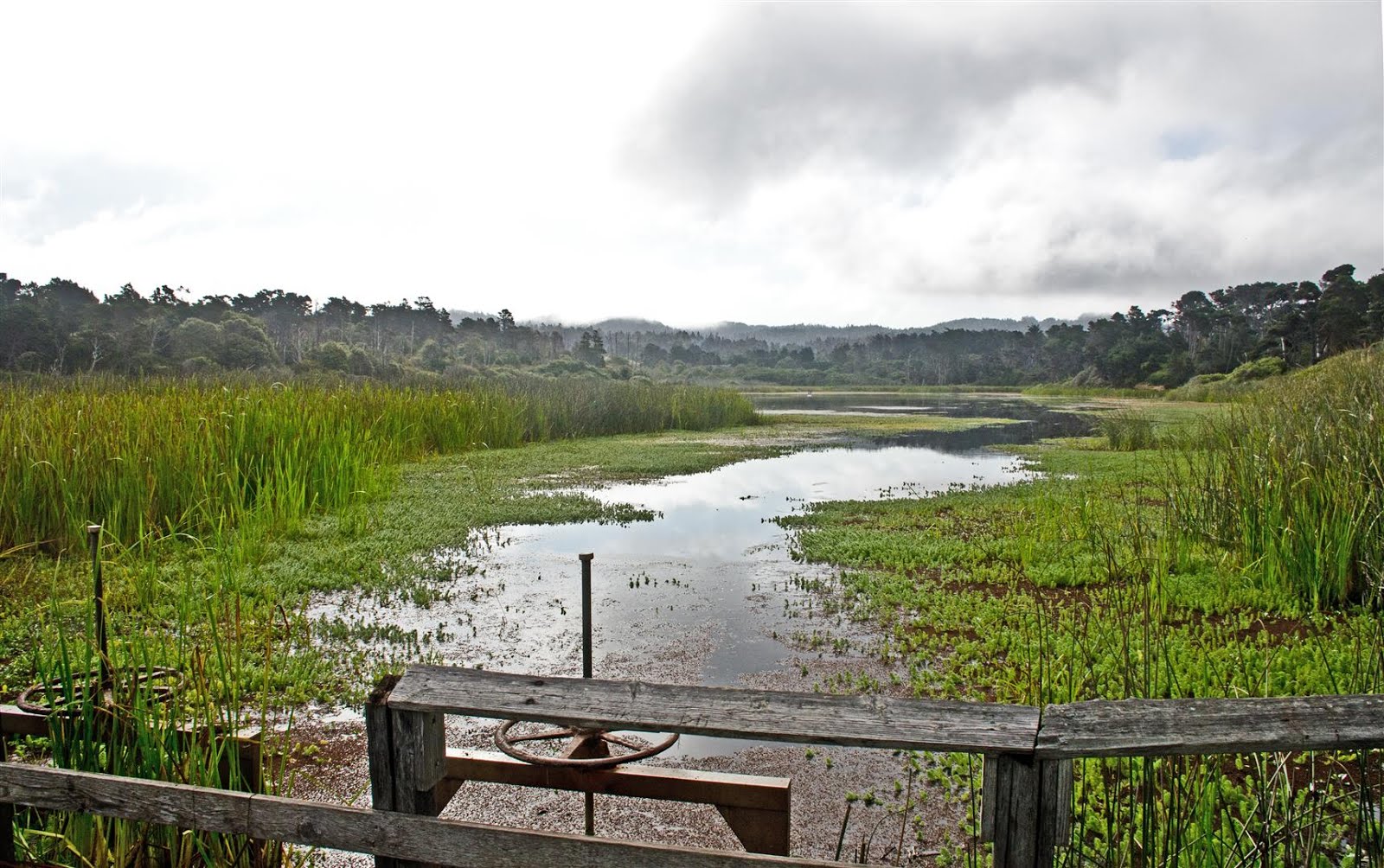 Fog Dodgers: COASTAL TRAIL - LAKE CLEONE