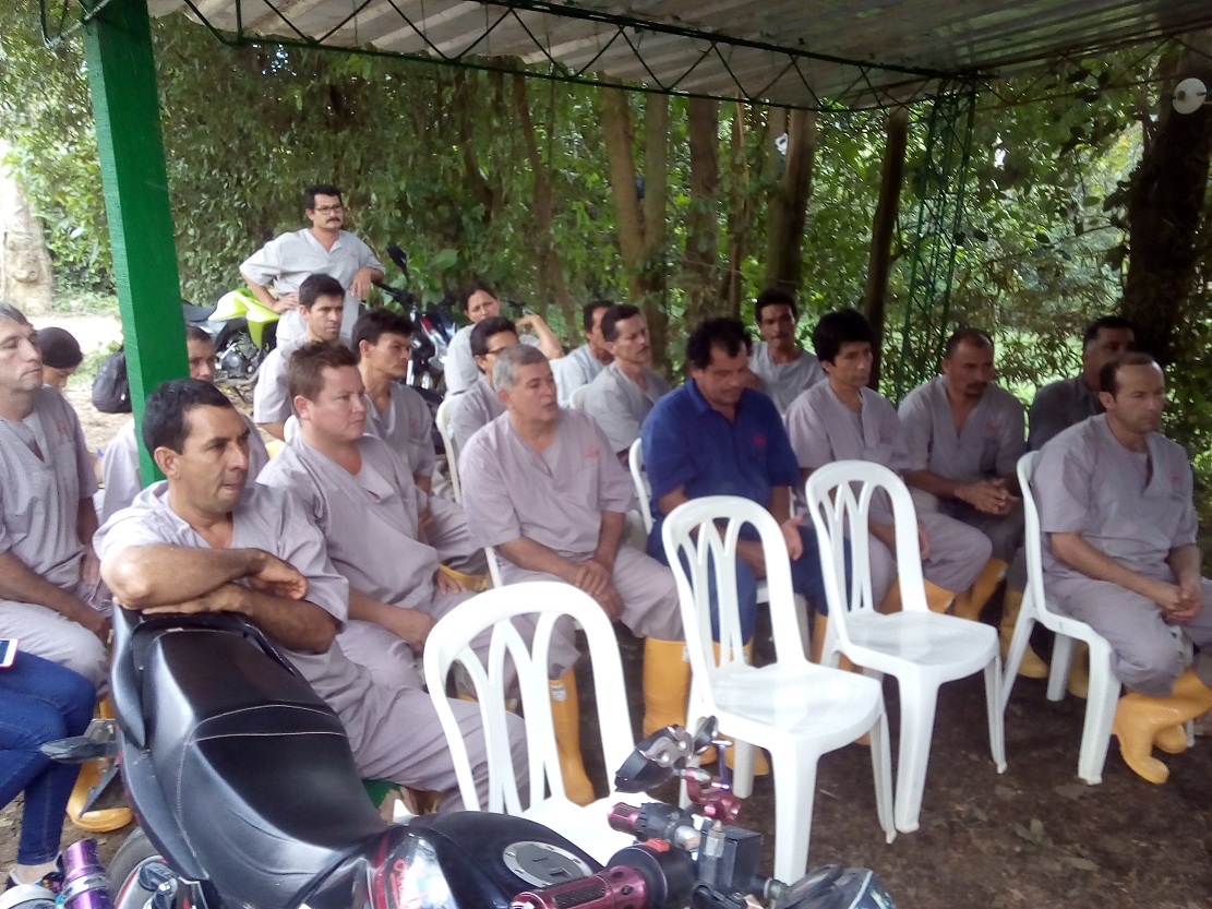 C: Proceso Avidesa Macpollo 2016