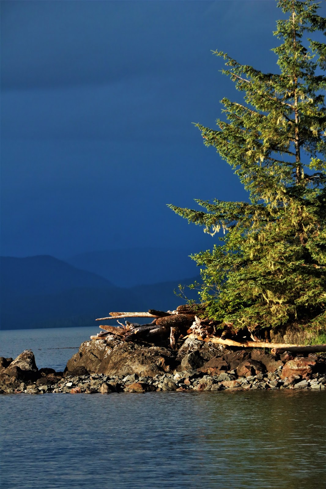 Notes from a Temperate Jungle: The Kashevarof Islands