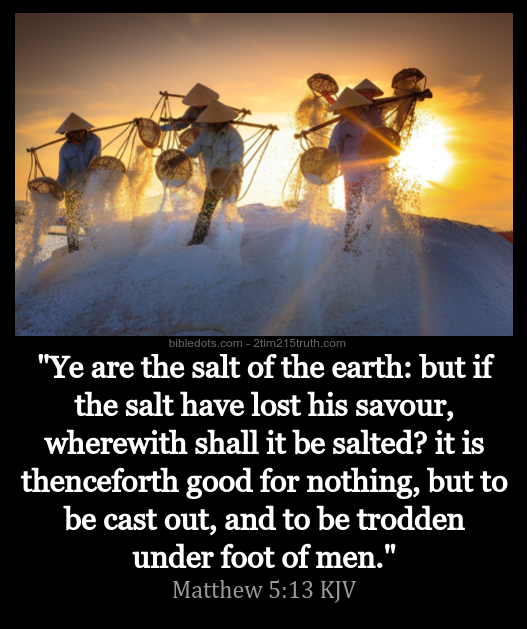 2 Timothy 2:15 Truth: Verse of the Day: Matthew 5:13 KJV