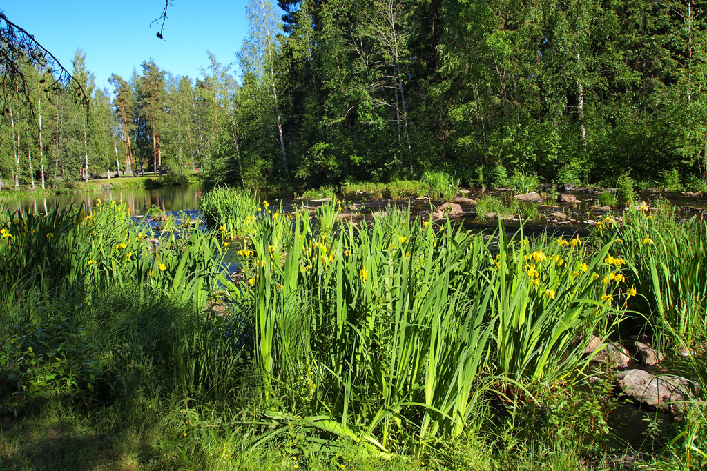 Photos from Seinäjoki: Seinäjoki River, Törnävä