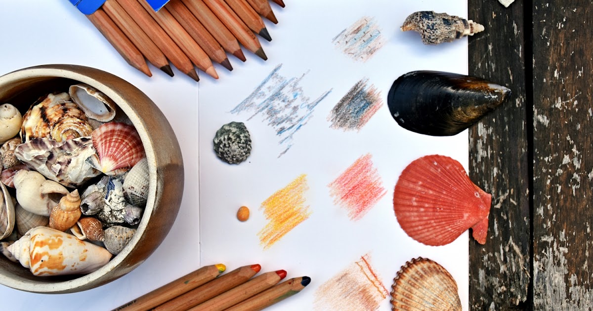 Merci qui ? Merci Montessori !: Les coquillages