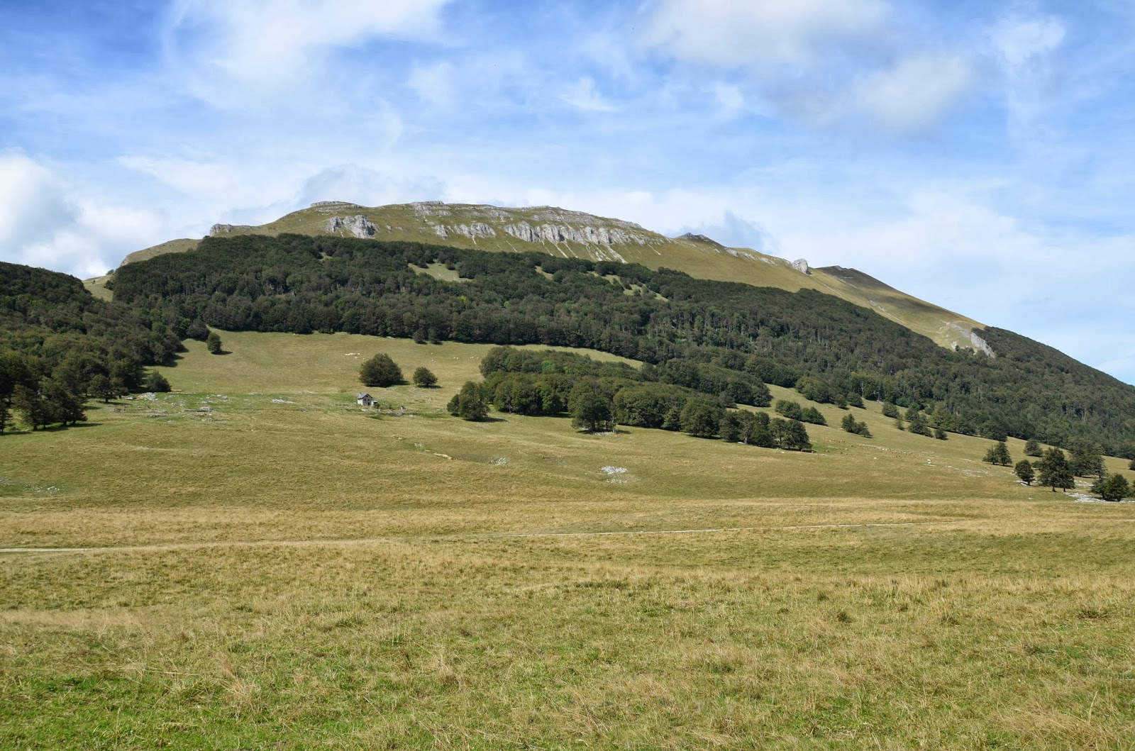 Balades au cœur du Dauphiné: Tête de La Dame sur le Plateau d'Ambel