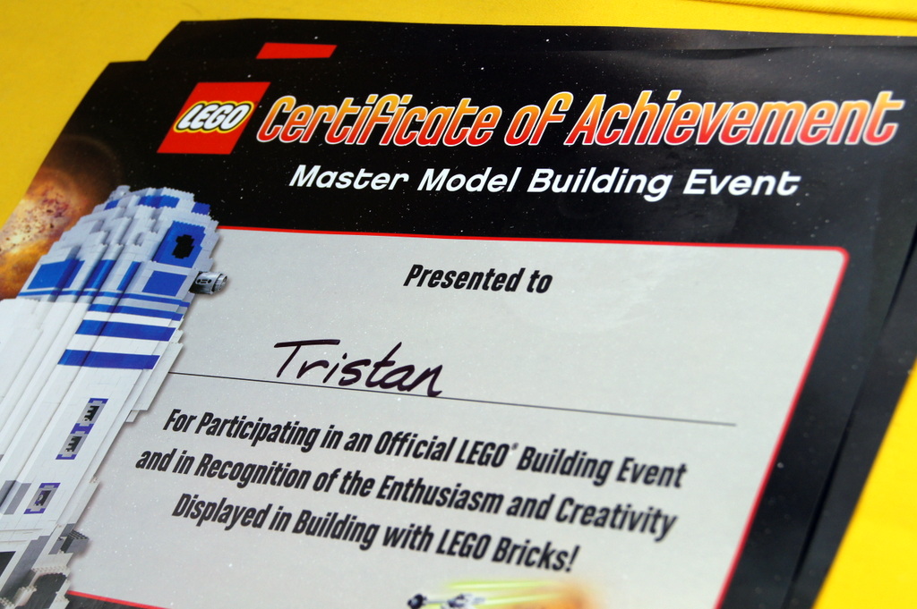 Mashed Thoughts: Lego Store Grand Opening Building Event