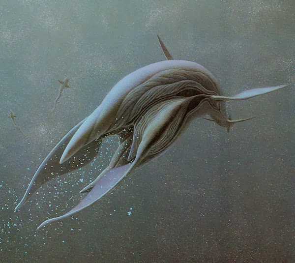 Old Maps, Expeditions and Explorations: Hubble telescope captures ...