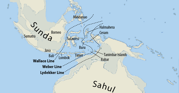 Diccionario de Epónimos: Wallacea