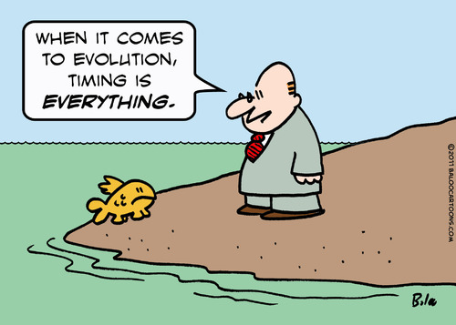 BALOO'S CARTOON BLOG: Evolution cartoon