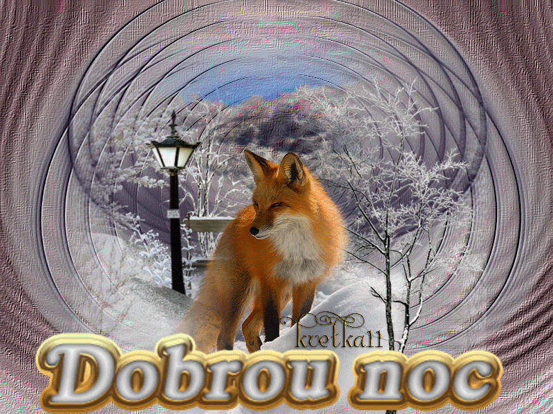 kvetka11: Dobrou noc