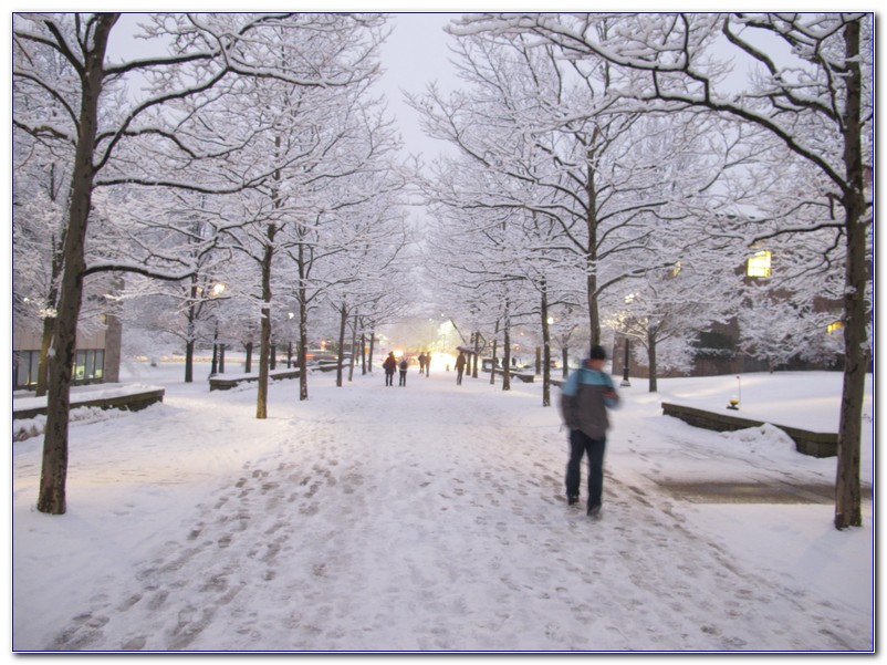 √√ Winter Session ONLINE COURSES - Best Education Online Courses