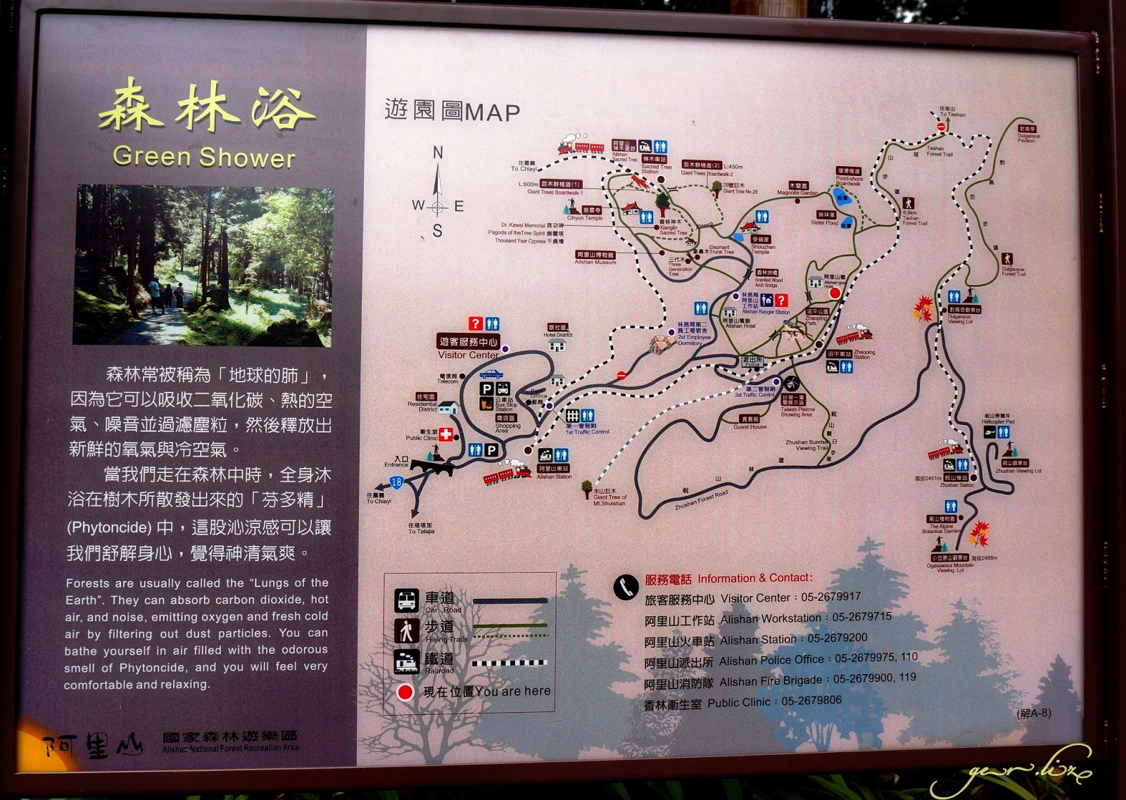 Alishan National Forest Recreation Area | Trips... by Liz