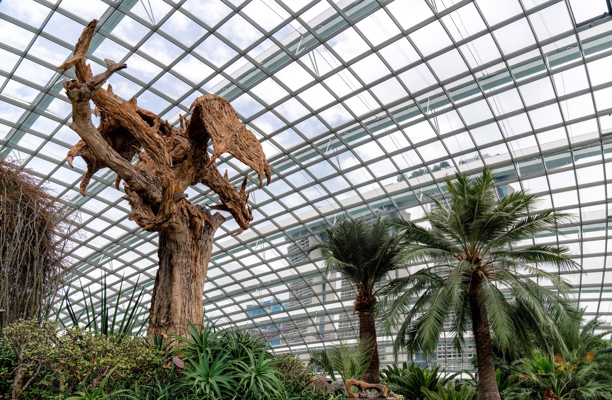 Flower Dome Permanent Gardens @ Gardens By the Bay - TheWackyDuo.com ...