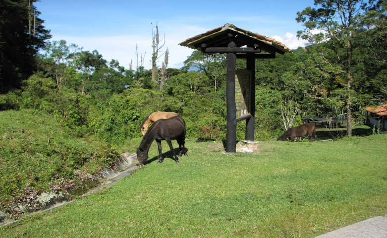 Visitando al Pueblo de Tabay