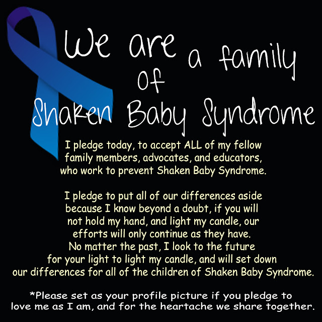 Shaken Baby Syndrome Support Network Official BLOG