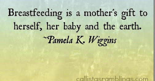 Motivational Mom: Nursing a Toddler and Fellow Moms Support