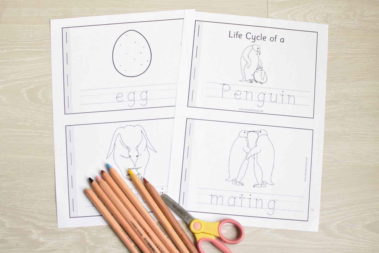 Life Cycle Learning Activity Packs | The Pinay Homeschooler