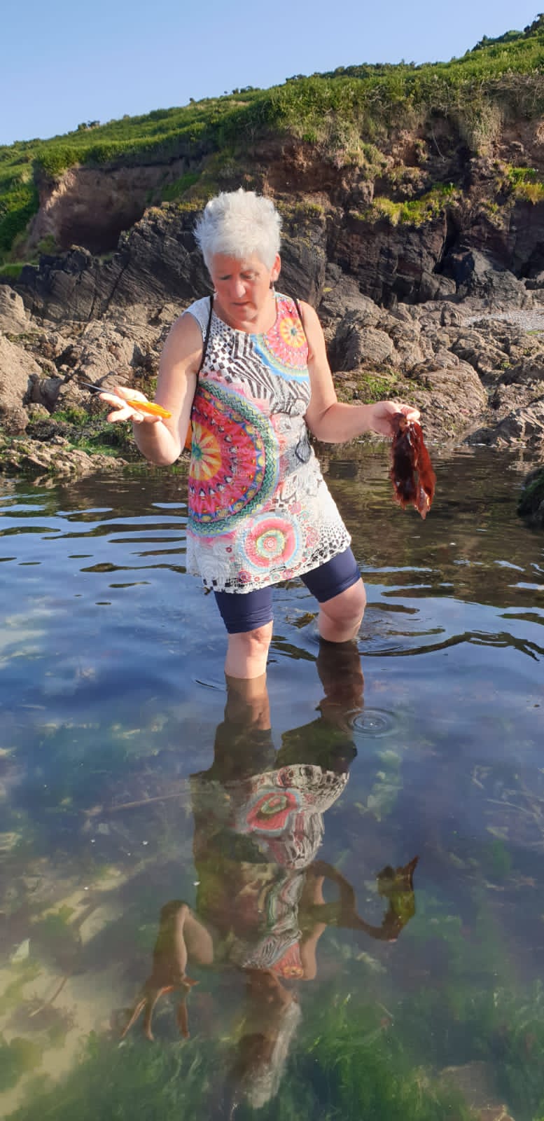 Seaweed Walk at Knockadoon – Youghal Blue and Green Community Network
