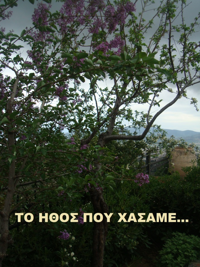 TΟ ΗΘΟΣ ΠΟΥ ΧΑΣΑΜΕ...: Καλημέρα και σήμερα...