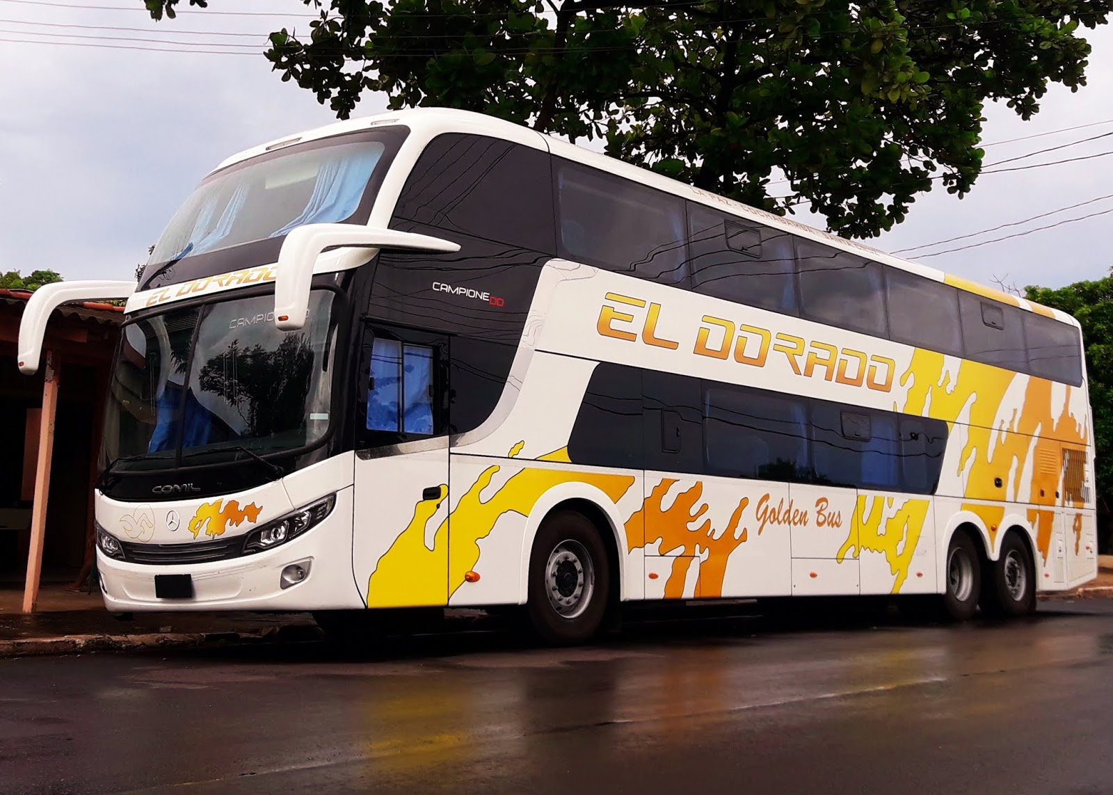 Expresso Bus: El Dorado 2019