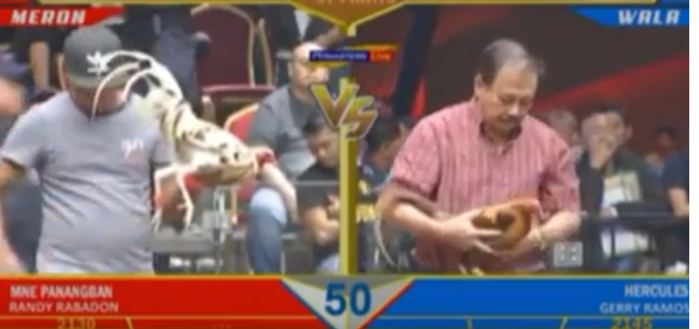 WATCH: HERCULES/GERRY RAMOS VS. MNE PANANGBAN/RANDY RABADON - THE ...