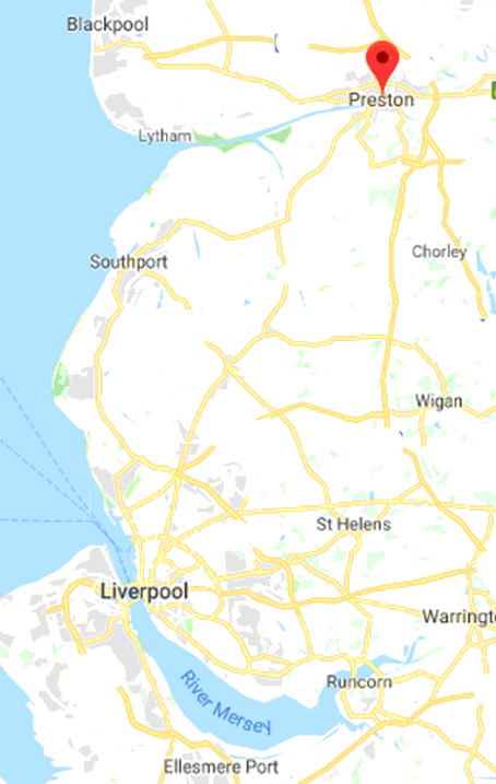 Barbara Brackman's MATERIAL CULTURE: Pheasant & Palm Chintz #3: The ...