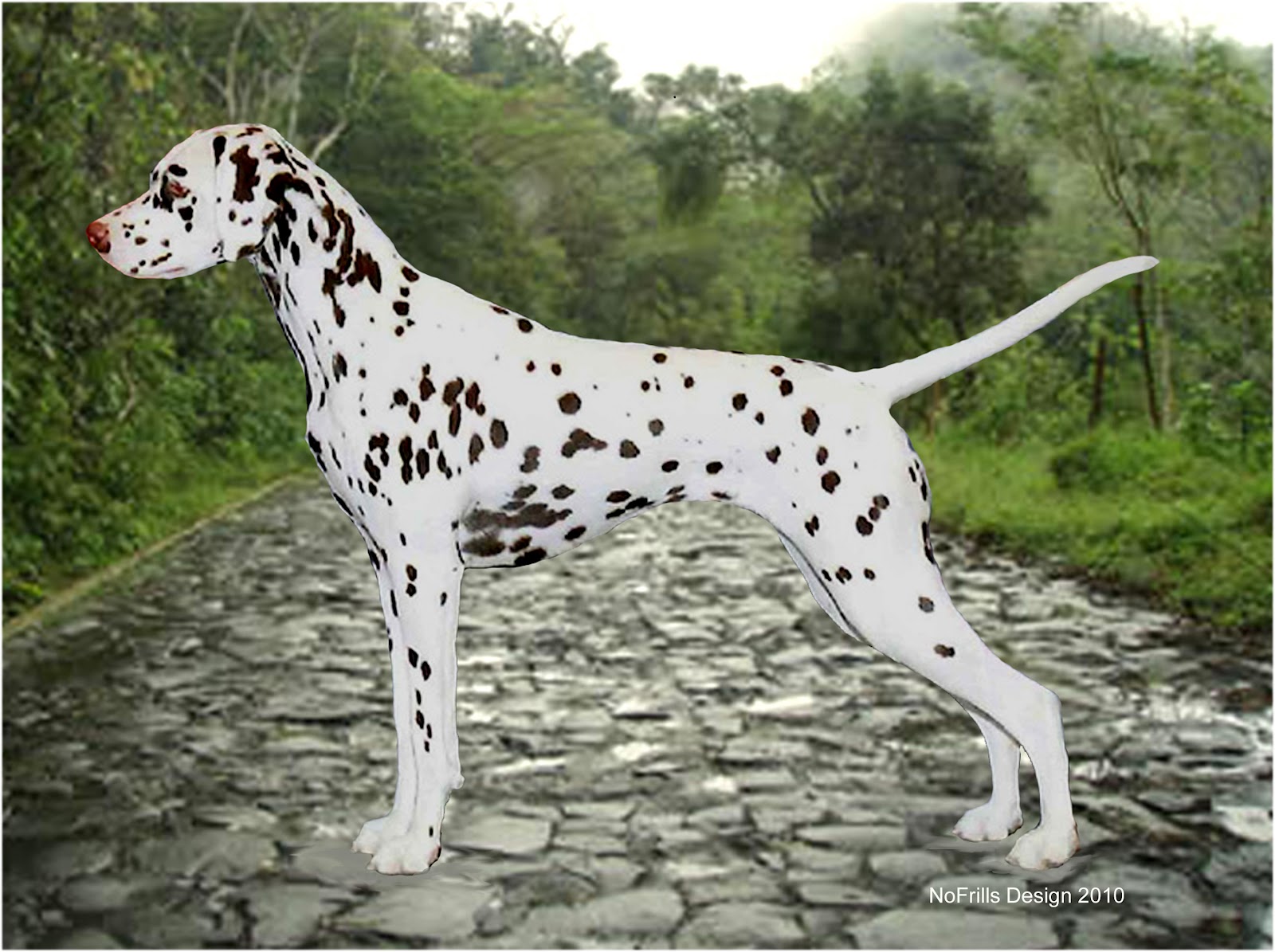 Gone To The Dogs: Paul's Back!