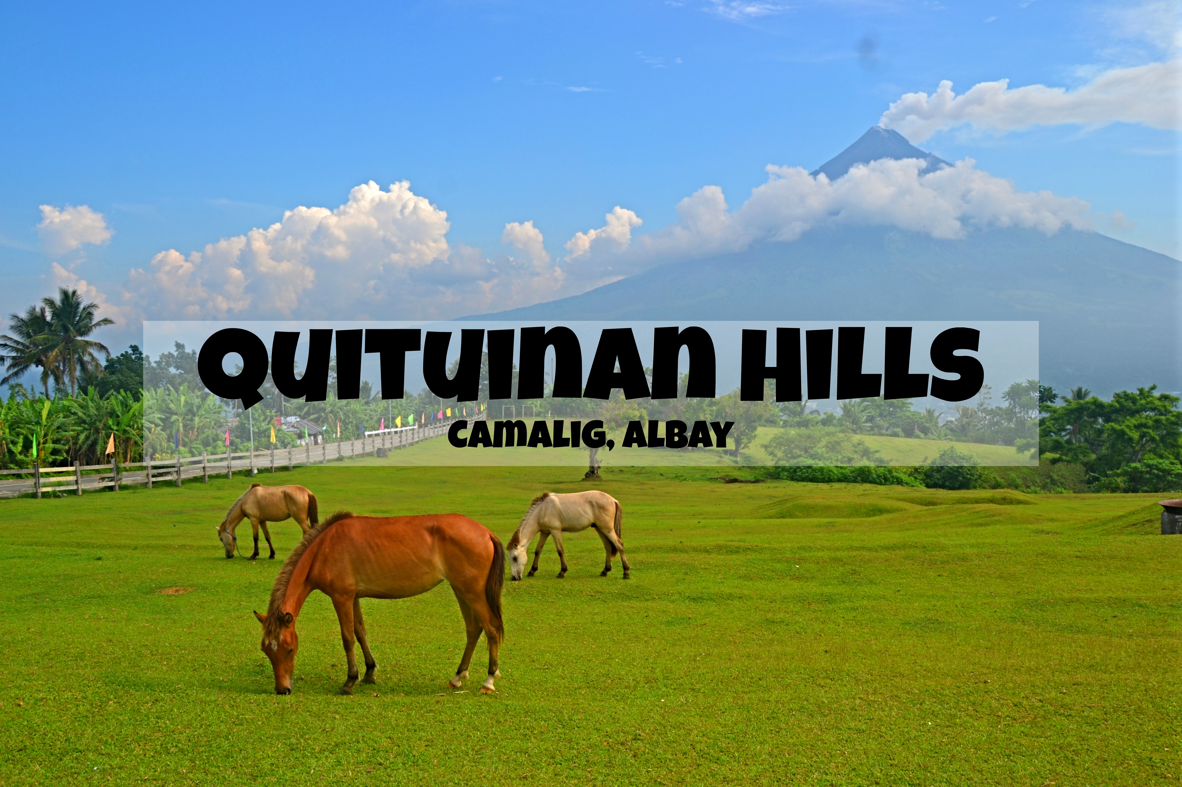 Quituinan Hills - Albay