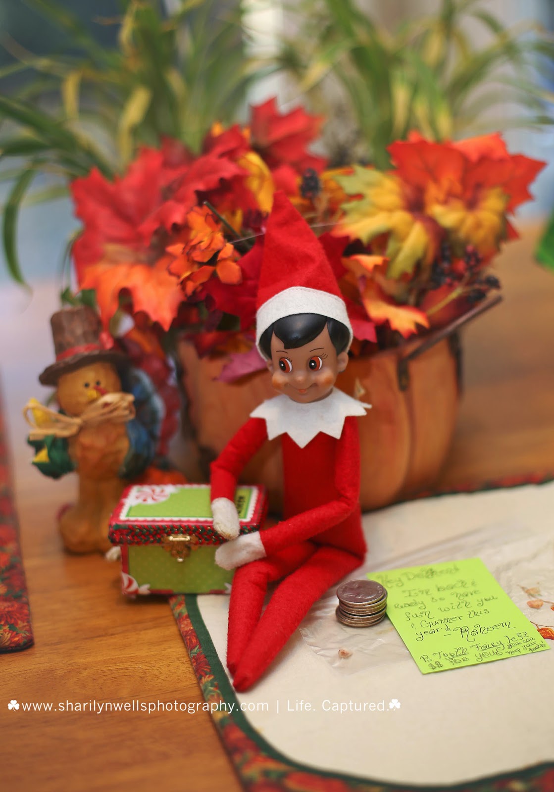 Sharilyn Wells Photography: 12 Ideas For Your Elf on the Shelf ...