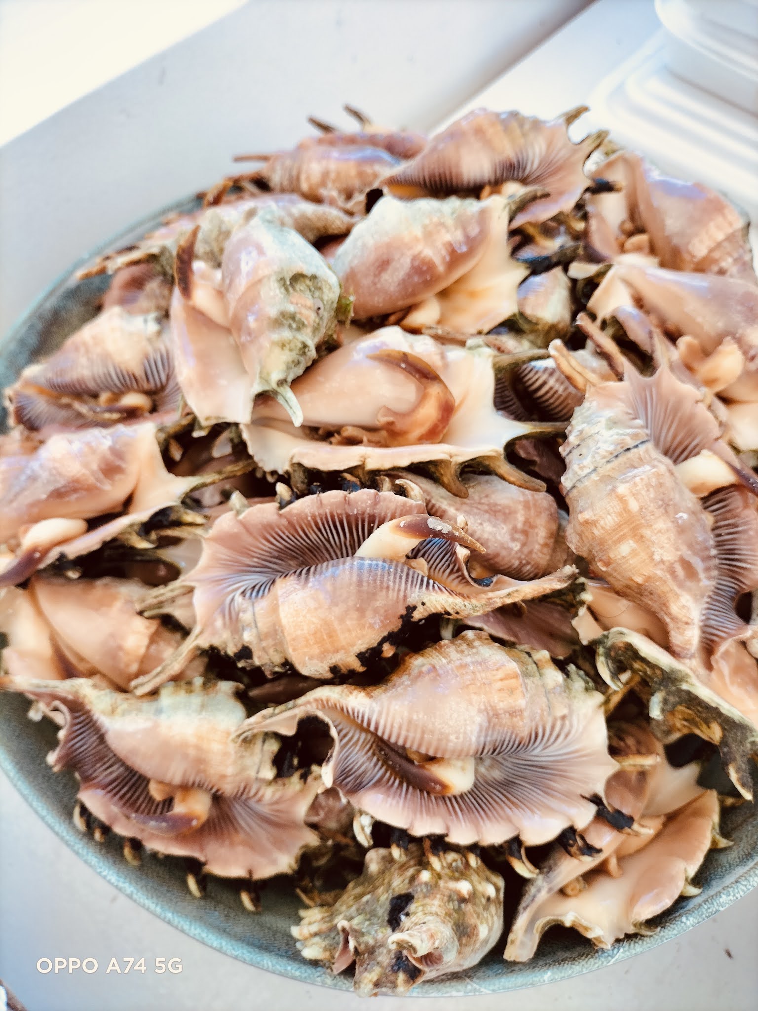 Island Hopping in Lapu-Lapu City, Cebu - Recycle Bin of a Middle Child