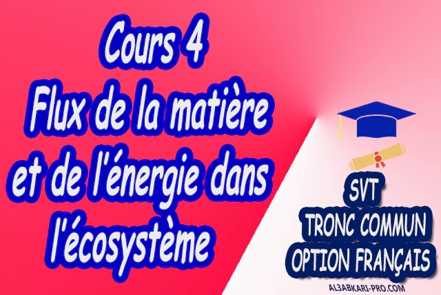 Cours 4 Flux de la matière et de l’énergie dans l’écosystème - svt biof Tronc commun sciences PDF