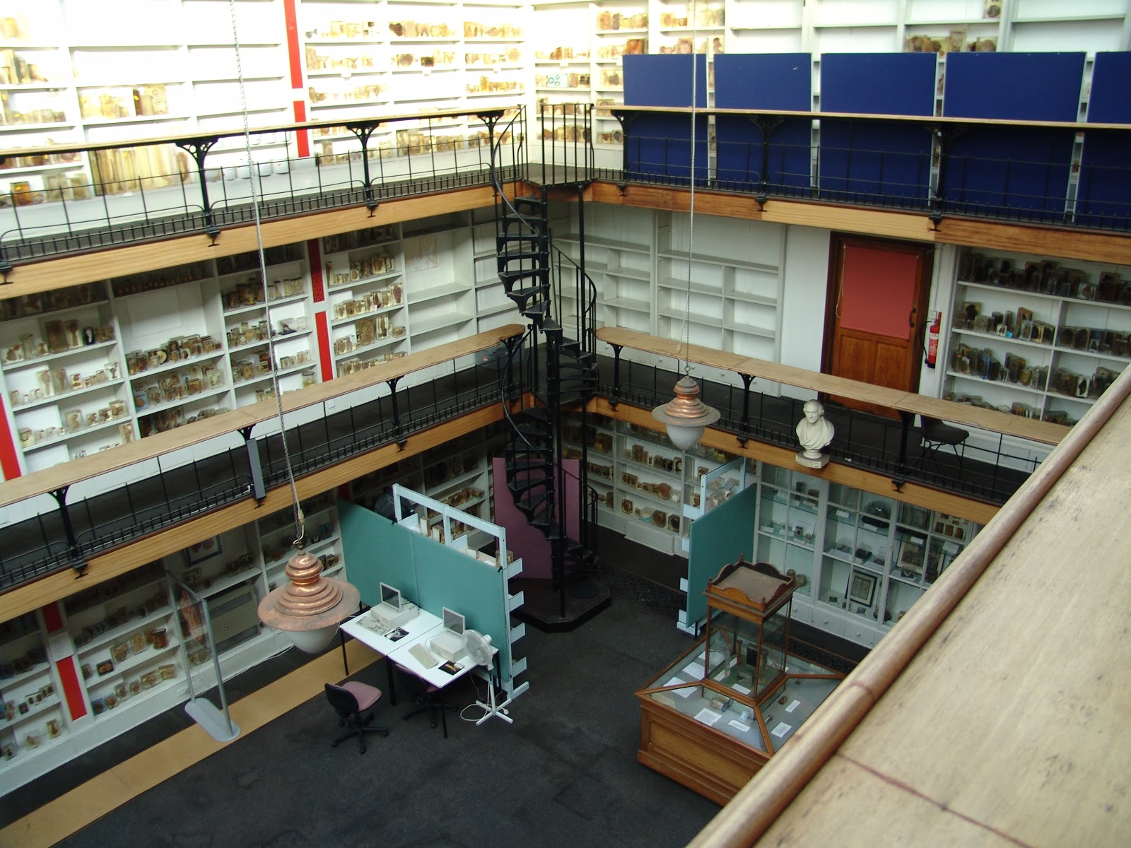 Barts Pathology Museum: Museum Info