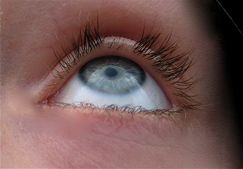 The Truth About Mascara - Eyedolatry