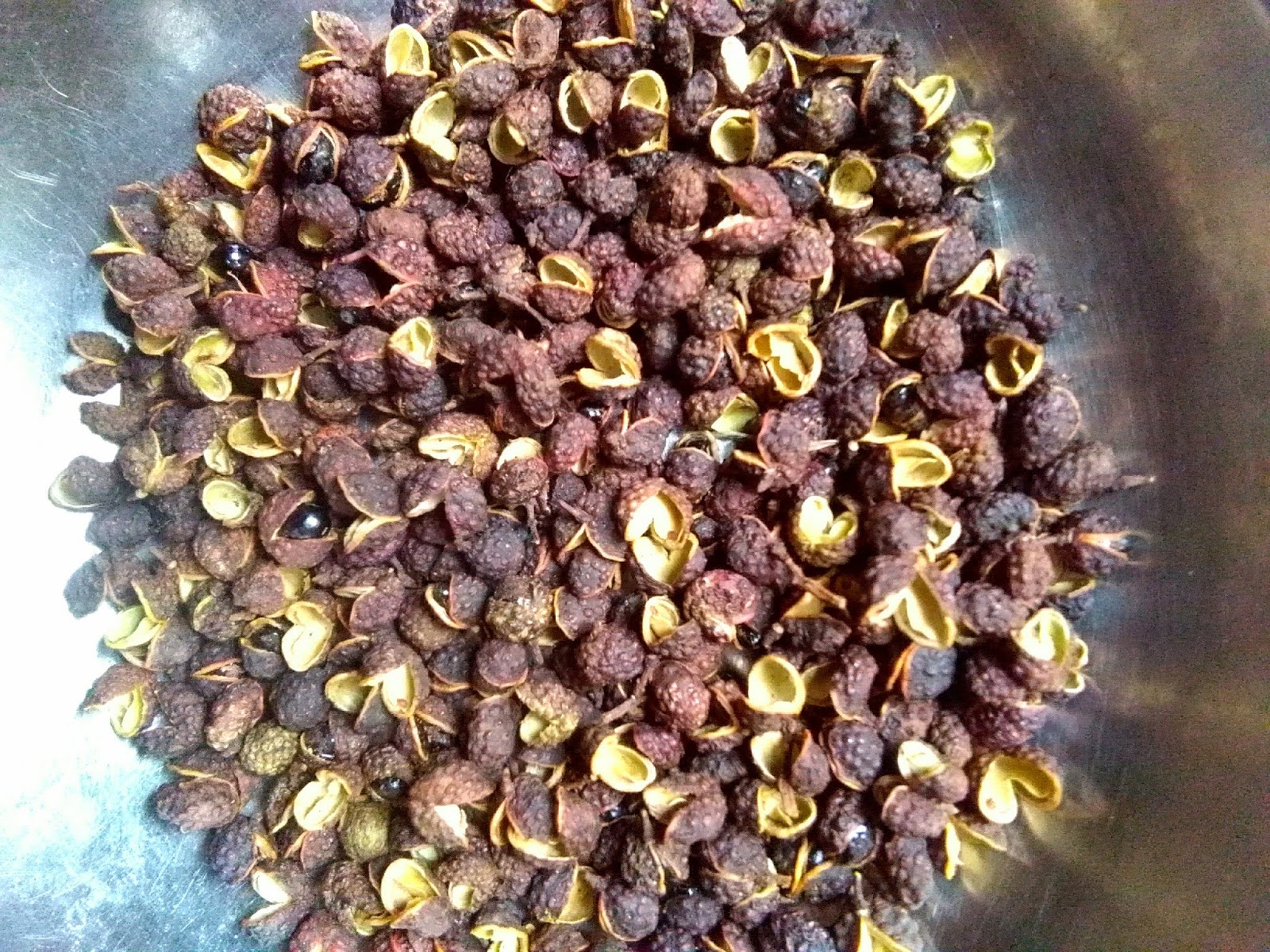 TOOTHACHE TREE |TIMUR : टिमुर|